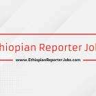 Ethiopia In 2025 - 8235 Jobs and Vacancies ethiopia in 2025 - Cari Jobs