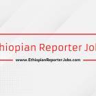 Data Collector Jobs In Addis Ababa - 20 Jobs and Vacancies data ...